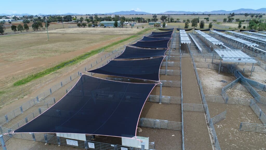 7 Steps to Better Shade Systems for Livestock