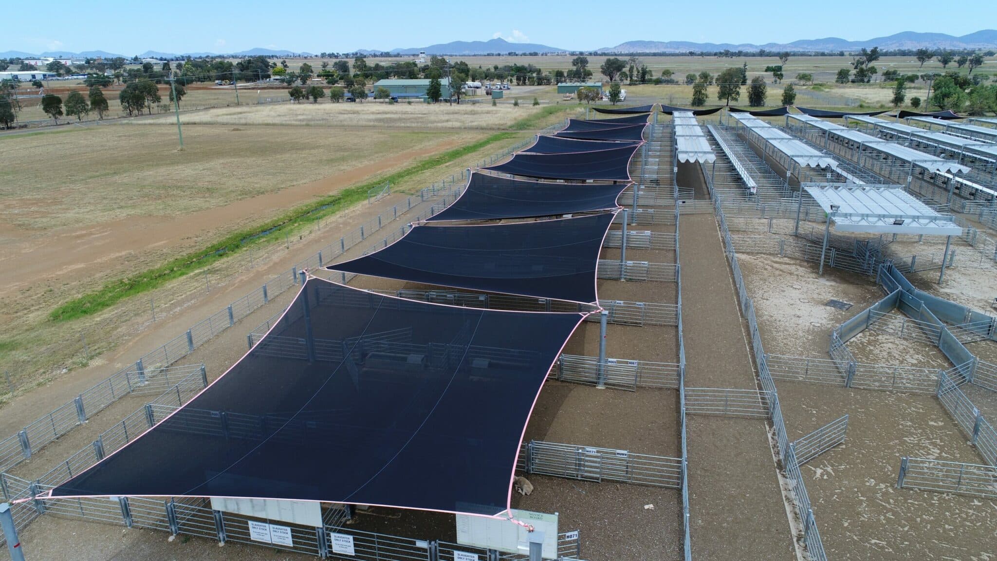 7 Steps to Better Shade Systems for Livestock