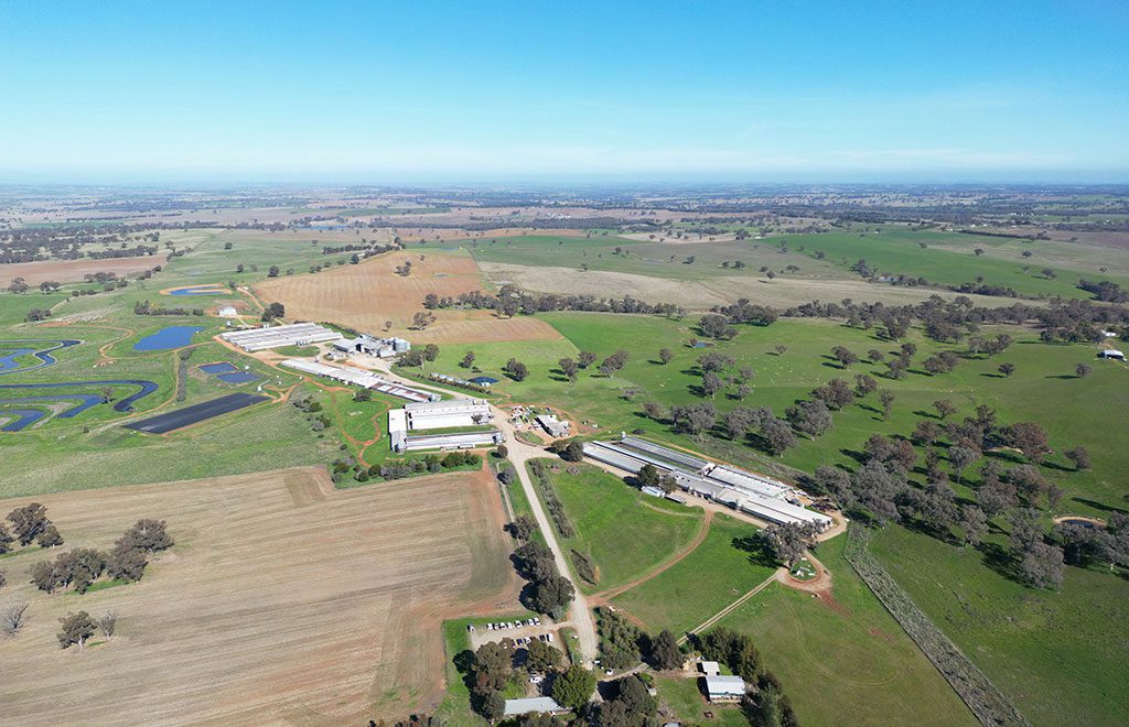 Windridge Farms - Architex