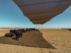 Order Livestock Cable Shade Systems Now!